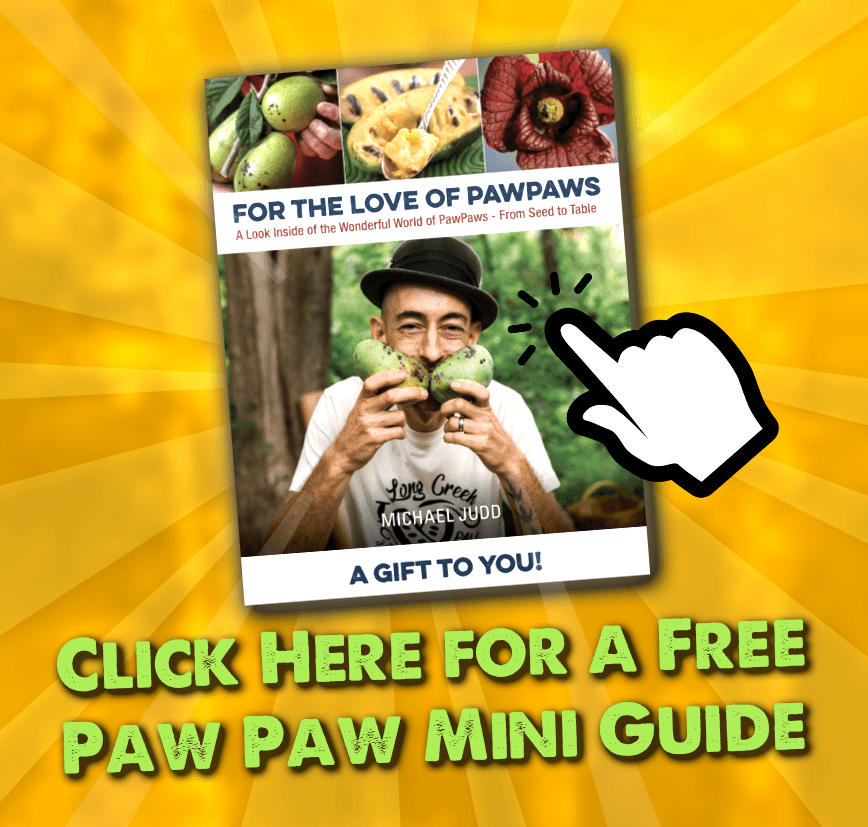 free Paw paw mini book | Ecologia Design
